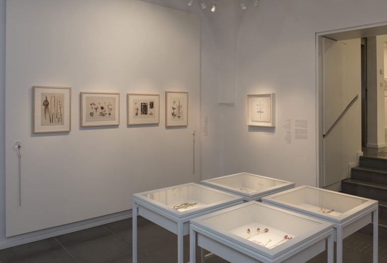 Exhibition at the Israel Museum Ticho House – Dafna Kaffeman, דפנה קפמן