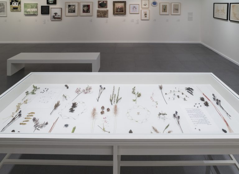 Exhibition at the Israel Museum Ticho House – Dafna Kaffeman, דפנה קפמן